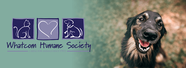 The Whatcom Humane Society | ProFusion Web Solutions